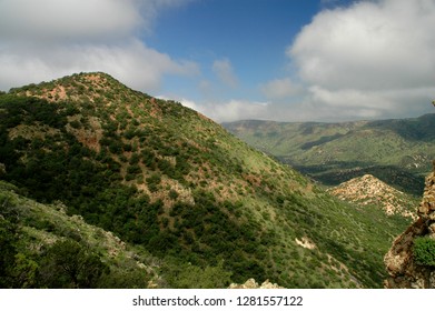 344 Elevated perch Images, Stock Photos & Vectors | Shutterstock