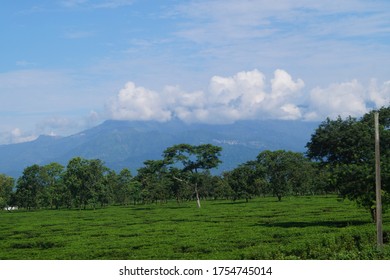 Himadri Images, Stock Photos & Vectors | Shutterstock