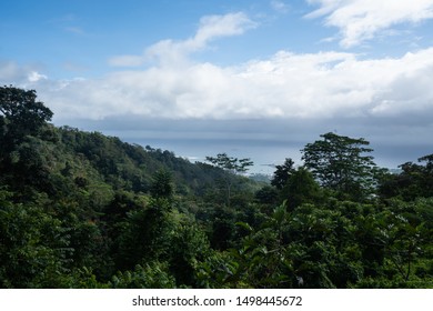 Vaea Images, Stock Photos & Vectors | Shutterstock