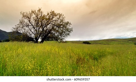 1,203 Agoura hills Images, Stock Photos & Vectors | Shutterstock