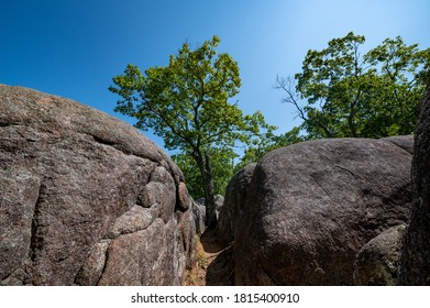 View Trees Between Two Boulders Stock Photo 1815400910 | Shutterstock
