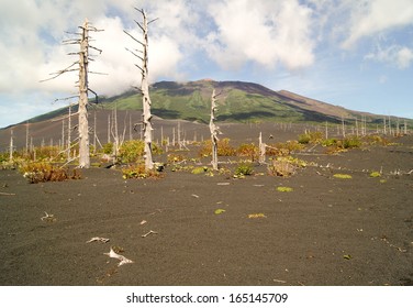 45 Hiking bicol Images, Stock Photos & Vectors | Shutterstock