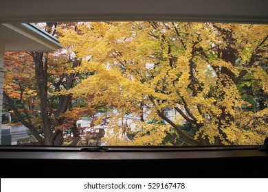 2,649 Second floor window Images, Stock Photos & Vectors | Shutterstock