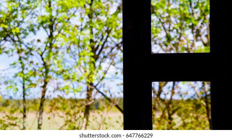 10,486 Garden through window Images, Stock Photos & Vectors | Shutterstock
