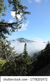 833 Clouds At Eye Level Images, Stock Photos & Vectors | Shutterstock