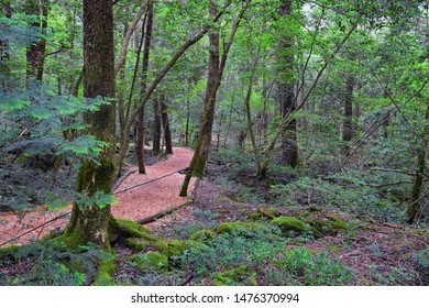 37 Bat lake trail Images, Stock Photos & Vectors | Shutterstock