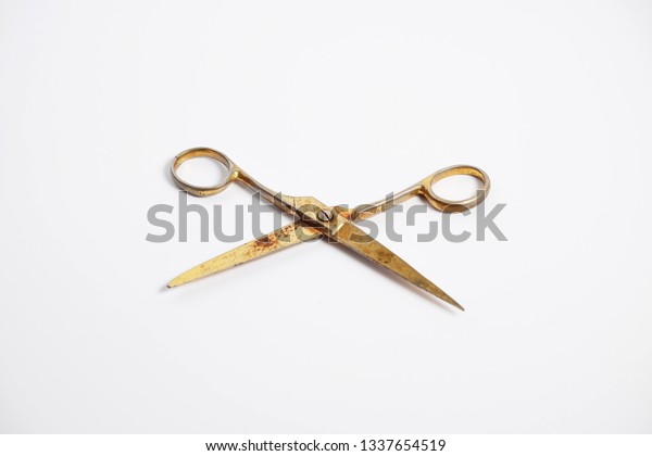 Vintage Scissors Side View Opened Isolated Stock Photo 1337654519 ...