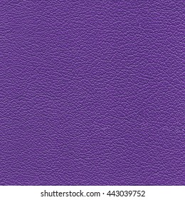 Violet Leather Texture Background Stock Photo 443039752 | Shutterstock