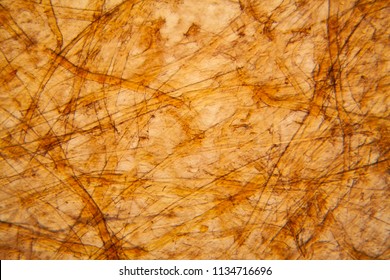 Virgin Paper Texture Microscope Stock Photo 1134716696 | Shutterstock