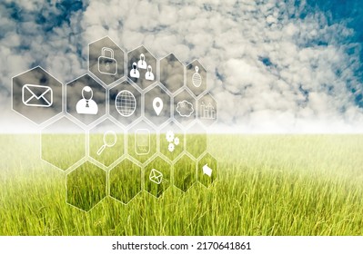 4,034 Rice float Stock Photos, Images & Photography | Shutterstock