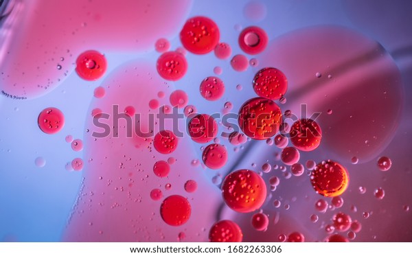 Virus Cells Bacterias Under Microscope Germs Stock Photo 1682263306 ...