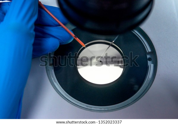 Vitrification Technique Laboratory Stock Photo 1352023337 | Shutterstock