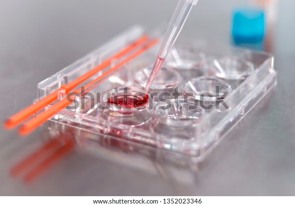 Vitrification Technique Laboratory Stock Photo 1352023346 | Shutterstock