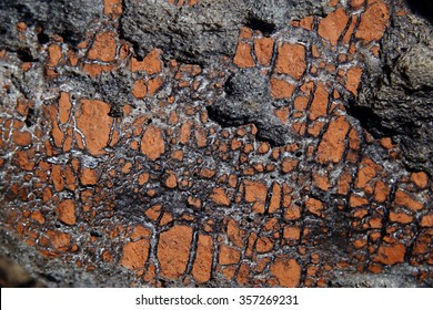 Breadcrusts Images, Stock Photos & Vectors | Shutterstock