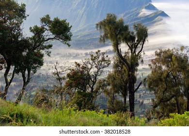 Volcano Trees Stock Photo (Edit Now) 382018528