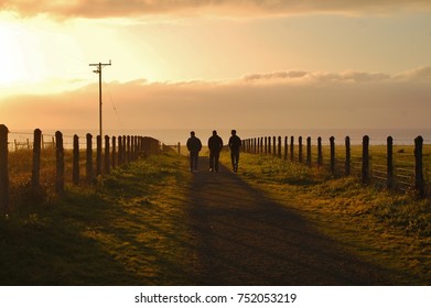 135 Down memory lane Images, Stock Photos & Vectors | Shutterstock