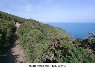 Walking Howth Cliff Path Loop Stock Photo 1317682418 | Shutterstock