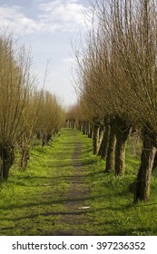 143 Pollard Walk Images, Stock Photos & Vectors | Shutterstock
