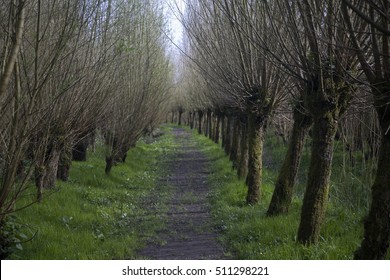 143 Pollard Walk Images, Stock Photos & Vectors | Shutterstock
