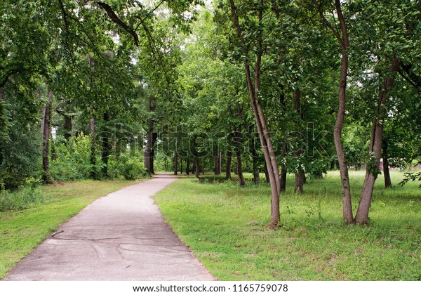 Walking Pathway Park Stock Photo 1165759078 | Shutterstock