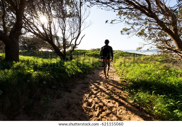 Walking Through Trees Beach Stock Photo 621155060 | Shutterstock