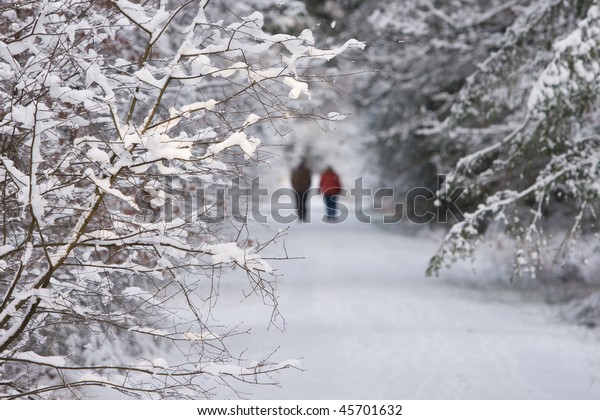 Walking Winter Wonderland Stock Photo (Edit Now) 45701632 Walking Winter Wonderland Stock Photo (Edit Now) 45701632
