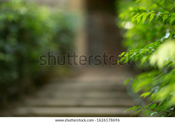 Walkway Background Image Backdrop Pathway Garden Stock Photo 1626178696 ...