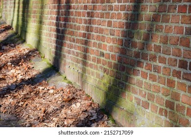 24,136 Tree stem shadows Images, Stock Photos & Vectors | Shutterstock