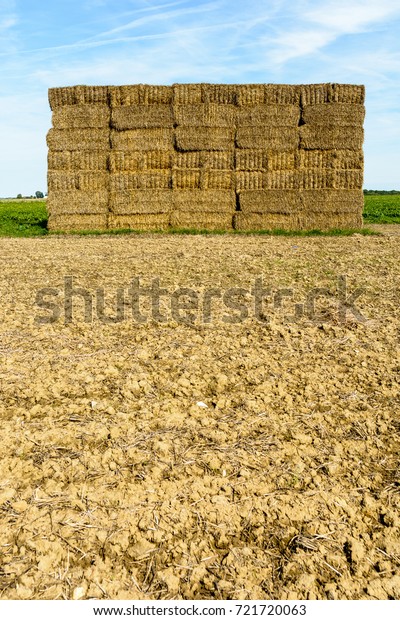 Wall Rectangular Bales Straw Stacked Field Stock Photo 721720063 ...