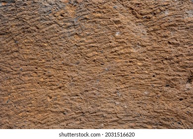 Tuffs Images, Stock Photos & Vectors | Shutterstock