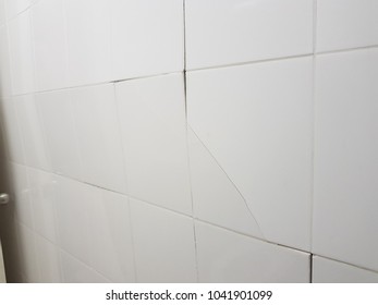 Large Piece Tilefloor Stock Photo (Edit Now) 565648126