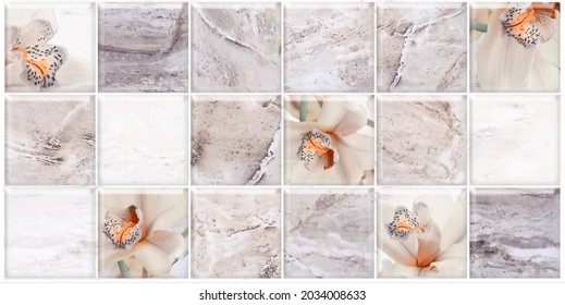 Wall Tiles Elevation Design Texture Background Stock Photo 2034008633 ...
