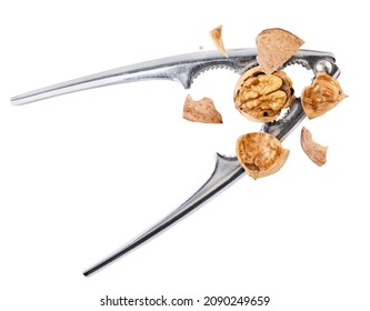 1,767 Split walnut Images, Stock Photos & Vectors | Shutterstock