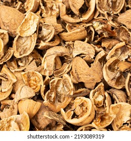 16,877 Pile of walnuts with shell Images, Stock Photos & Vectors ...