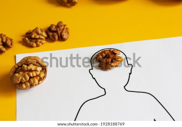 Walnut Form Human Brain Open Walnut Stock Photo 1928188769 | Shutterstock