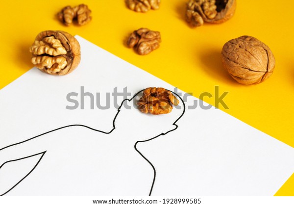 Walnut Form Human Brain Open Walnut Stock Photo 1928999585 | Shutterstock