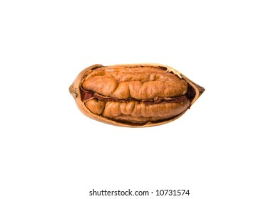 Walnut Fruit Section Isolated On White Stock Photo 10731574 | Shutterstock