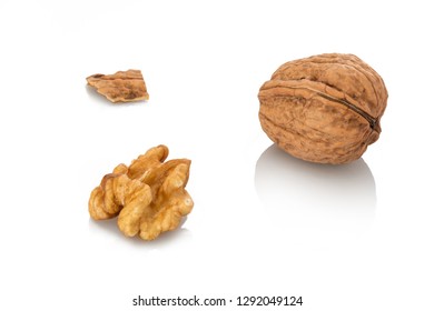 Walnut Nut Nutshell Closeup White Isolated Stock Photo 1292049124 ...