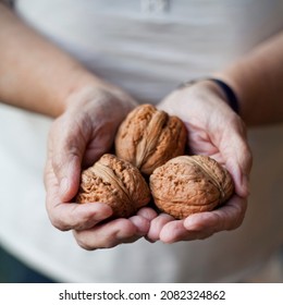 1,682 Walnut size Images, Stock Photos & Vectors | Shutterstock