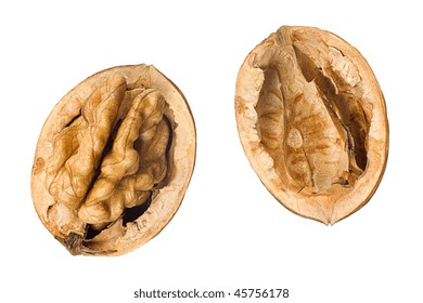 Walnut Opened Kernel Husk Dried Italian Stock Photo 45756178 | Shutterstock