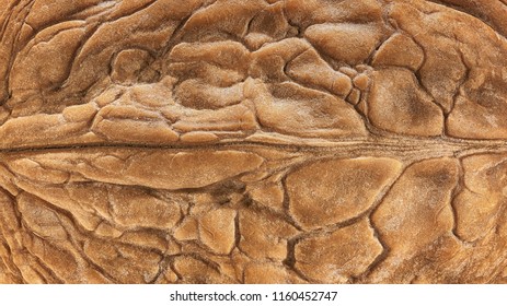 Seamless Texture Pavement Background Image Stock Photo 501648055 ...
