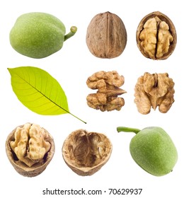 Walnuts Collection Stock Photo 38040973 | Shutterstock