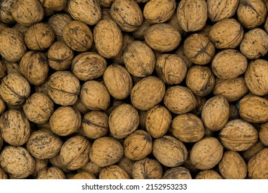 4 Nub pixel Images, Stock Photos & Vectors | Shutterstock