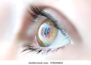Plan Reflection Eye Stock Photo (Edit Now) 384763696