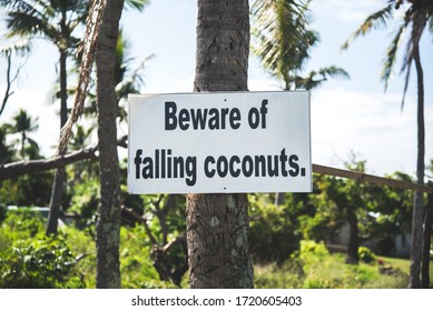 59 Beware of falling coconuts Images, Stock Photos & Vectors | Shutterstock