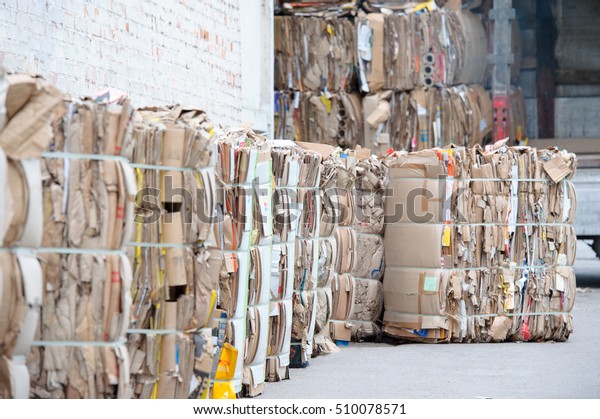 Waste Paper Collected Packed Recycling Stock Photo 510078571 | Shutterstock Waste Paper Collected Packed Recycling Stock Photo 510078571 | Shutterstock