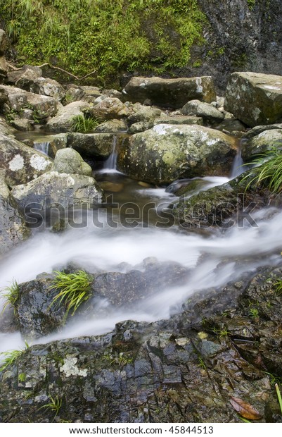 A water spring in forest