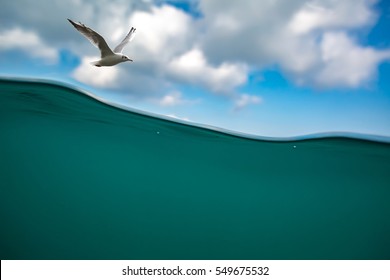 46,280 Water splitting Images, Stock Photos & Vectors | Shutterstock