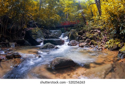 Waterfall Red Bridge Forest Stock Photo 520256263 | Shutterstock