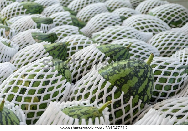 Watermelon Stack Foam Net Packing Stock Photo 381547312 | Shutterstock